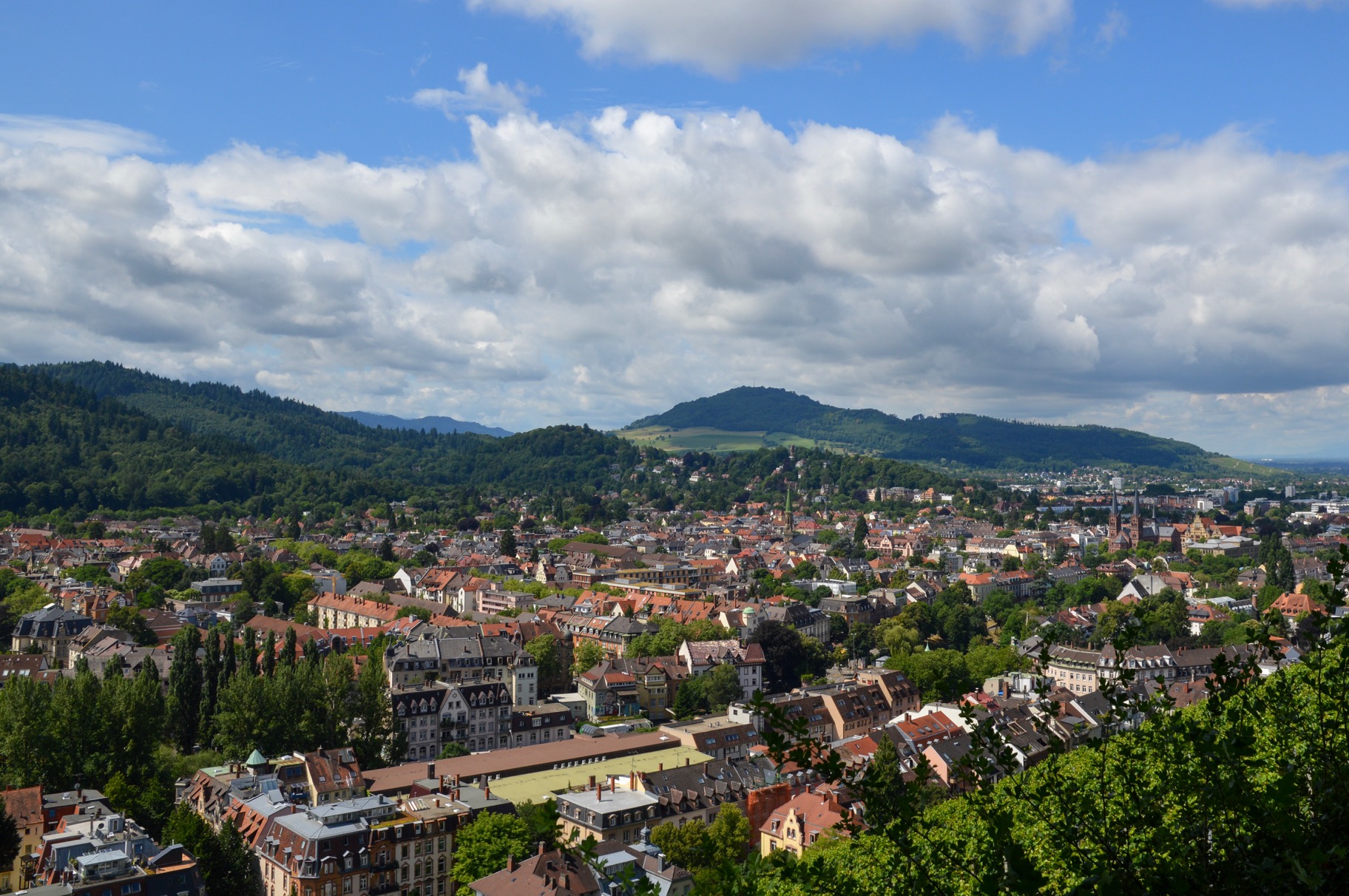 Get a taste of the Black Forest and Flammkuchen in Freiburg | Travel ...