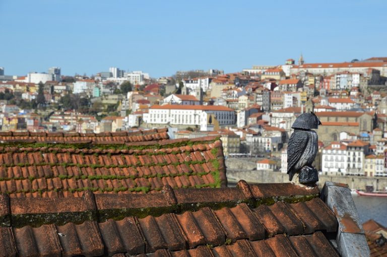 Porto in winter: a picture-perfect break | Travel Breathe Repeat