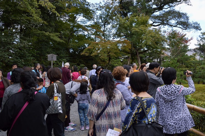 6 days in Kyoto: a leisurely itinerary of top attractions and hidden ...